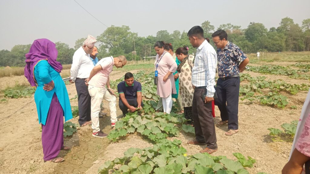 परियोजनाबाट चार हजार एक सय प्रत्यक्ष लाभान्वीत - Krishnasar Online