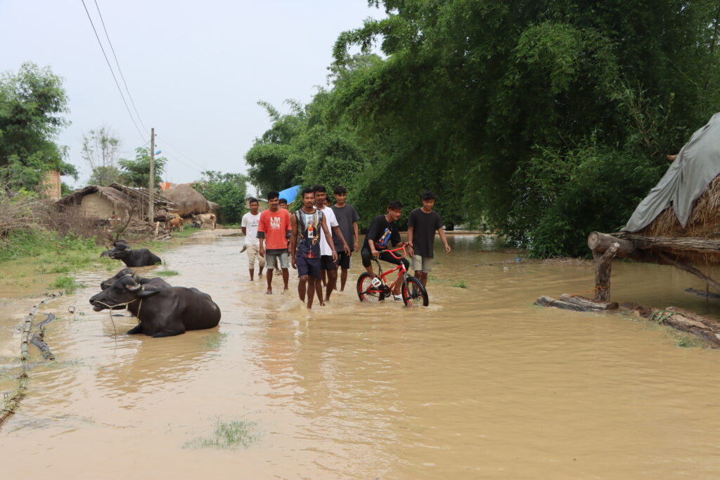 बर्दियामा एक सय २४ घर डुबानमा - Krishnasar Online