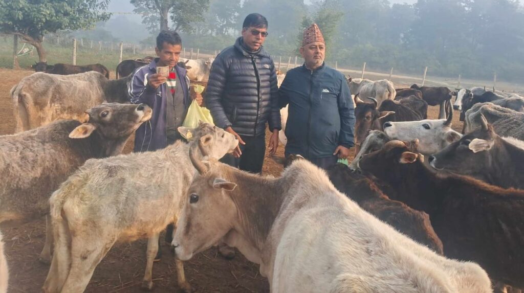 जन्मदिनमा गौशालालाई आर्थिक सहयोग - Krishnasar Online