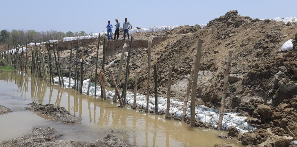 बाँसगढी नगरपालिकामा जैविक तटबन्धन निर्माण सुरु - Krishnasar Online