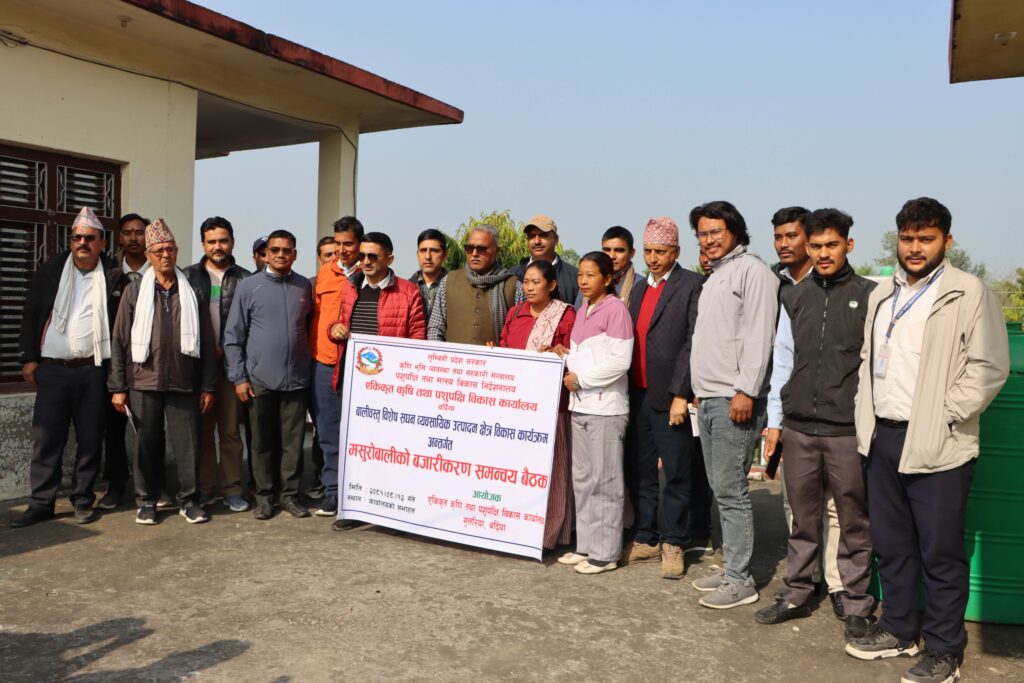 बर्दियामा मुसुरो खेतीको प्रबद्र्धन गरिदै - Krishnasar Online