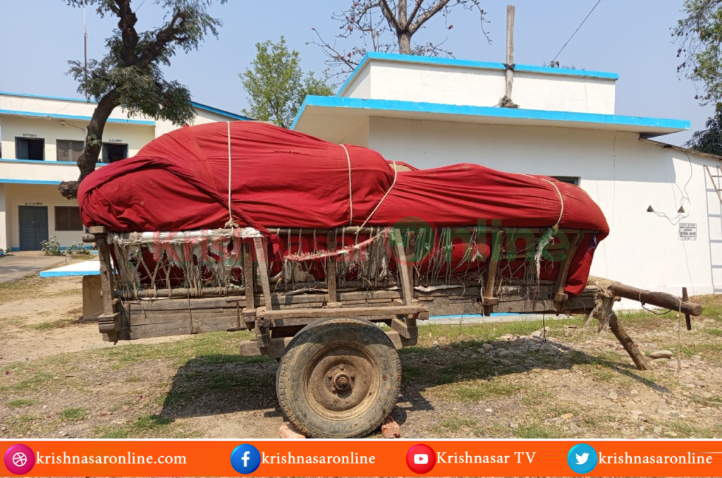 बर्दिया प्रहरीद्वारा १० क्विन्टल बहुमूल्य जडीबुटी सुगन्ध कोकिला बरामद ...