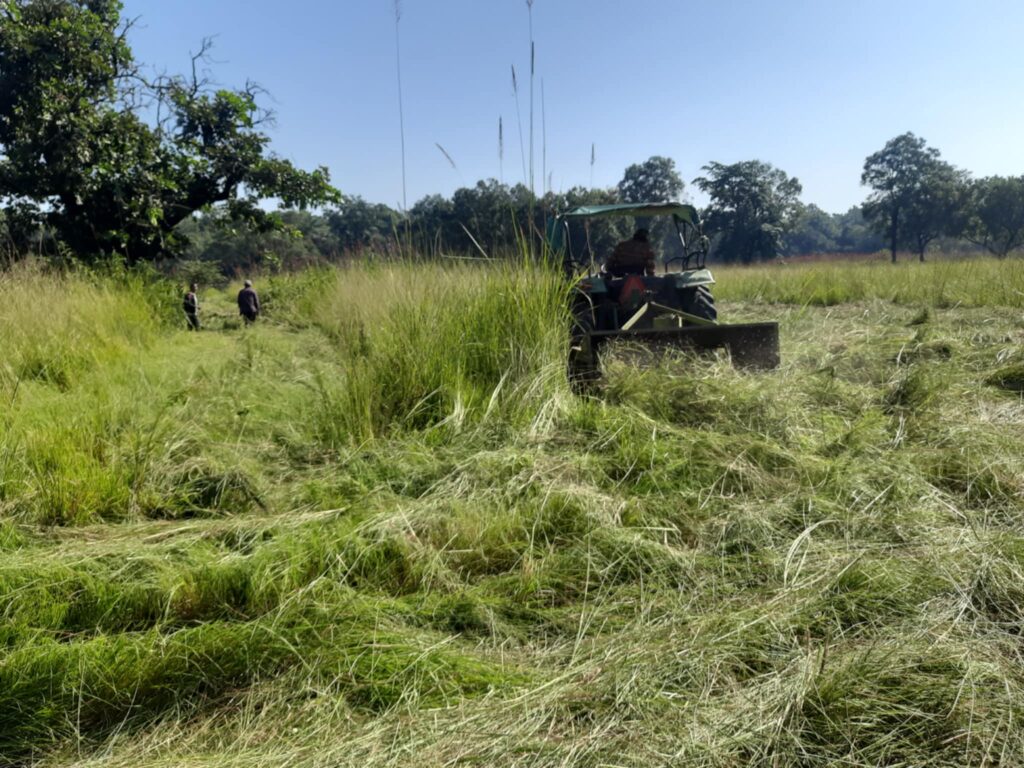बर्दिया राष्ट्रिय निकुञ्जमा घाँसे मैदान व्यवस्थापनको काम सुरु ...